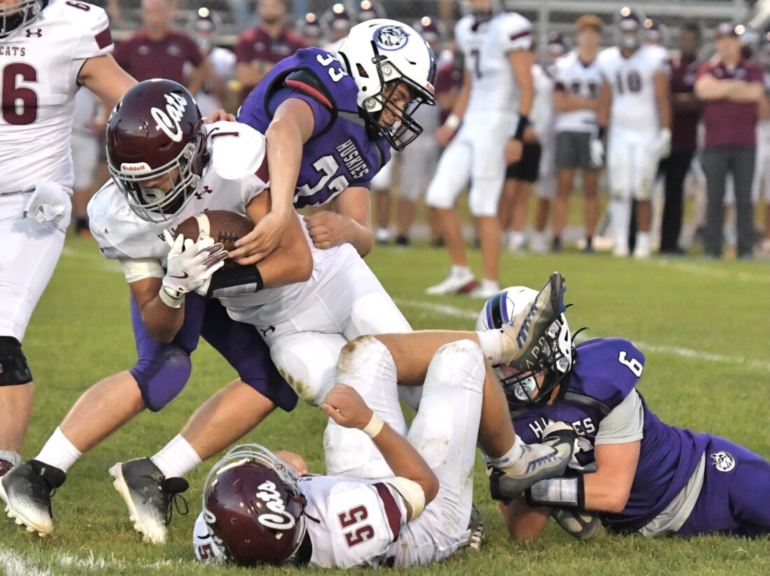 Wildcats spoil Huskies’ home opener, 40-6 | News, Sports, Jobs - The ...